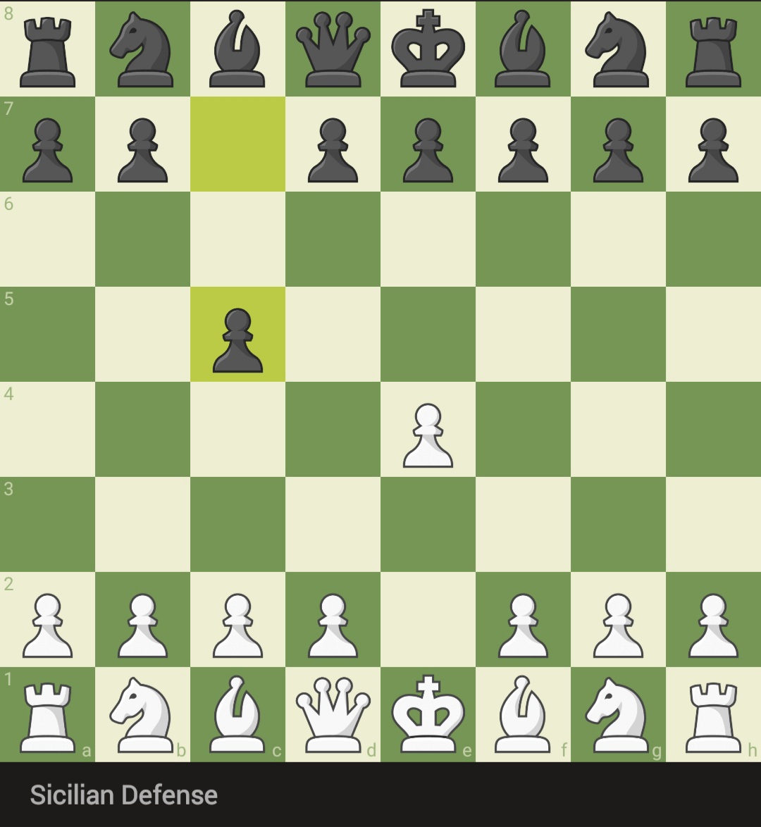 The Sicilian Defense: A Chess Odyssey - Horkan