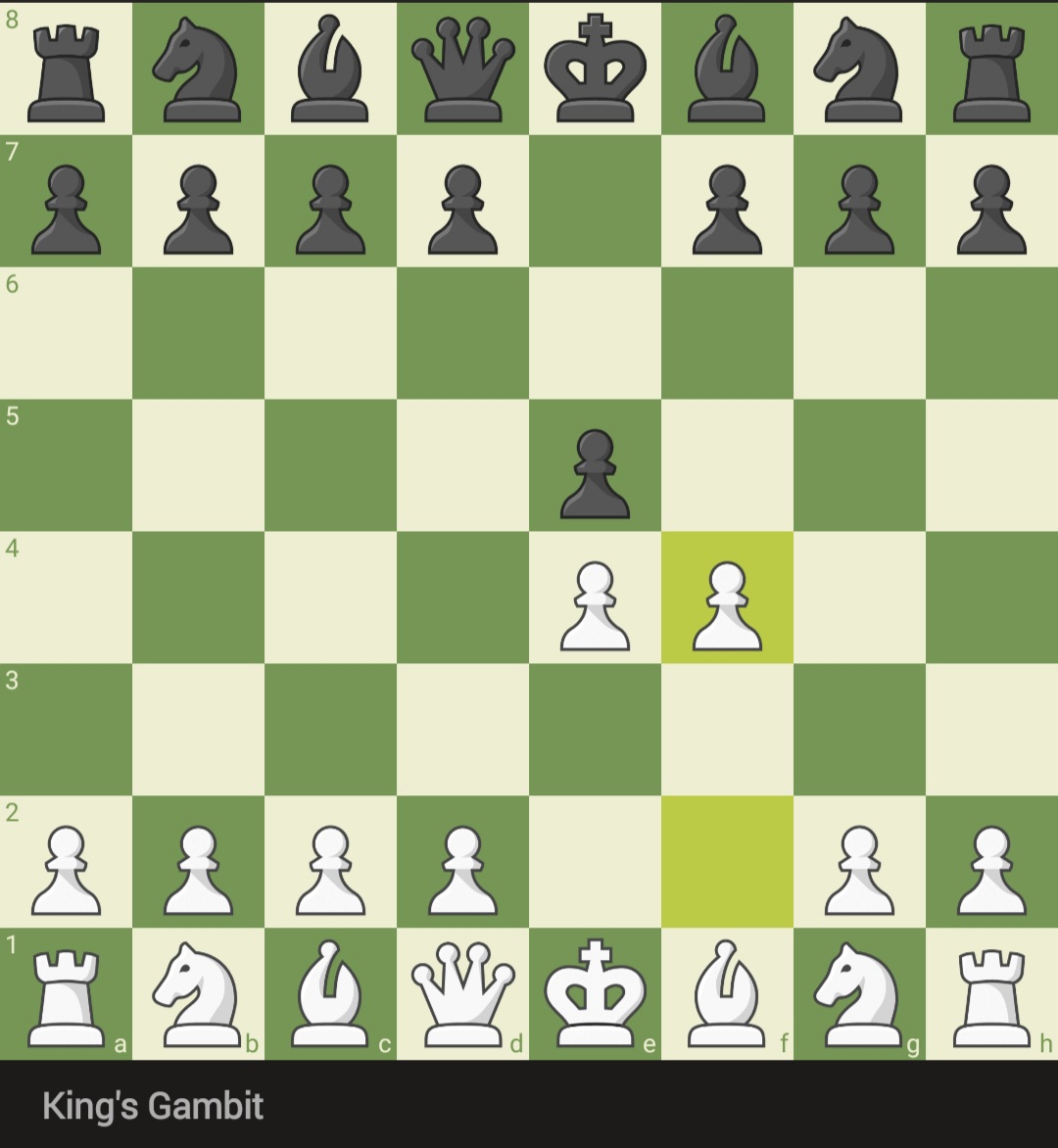 The King's Gambit: A Bold Journey into Chess's Romantic Past - Horkan